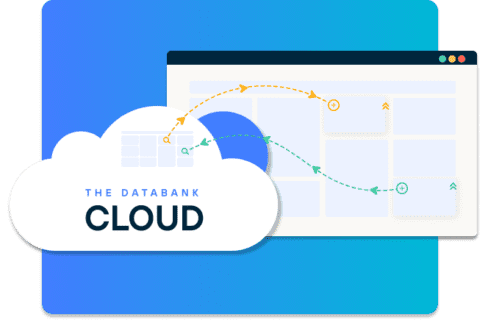Leadership at DataBank: Guiding the Way to Success - DataBank IMX